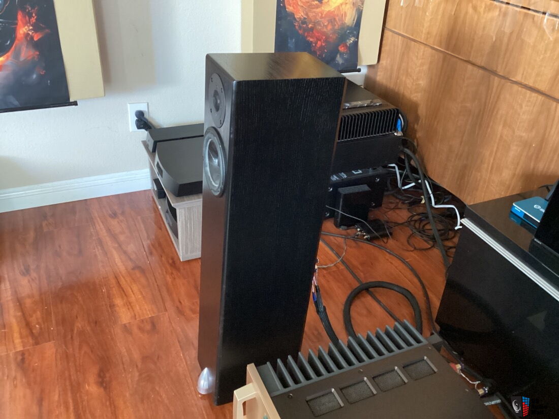 Totem acoustic Hawk speakers in blacks ash Photo #6139206 - US Audio Mart