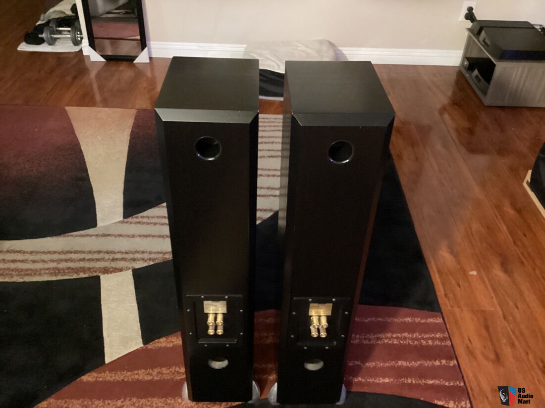 Totem acoustic Hawk speakers in blacks ash Photo #6139206 - US Audio Mart