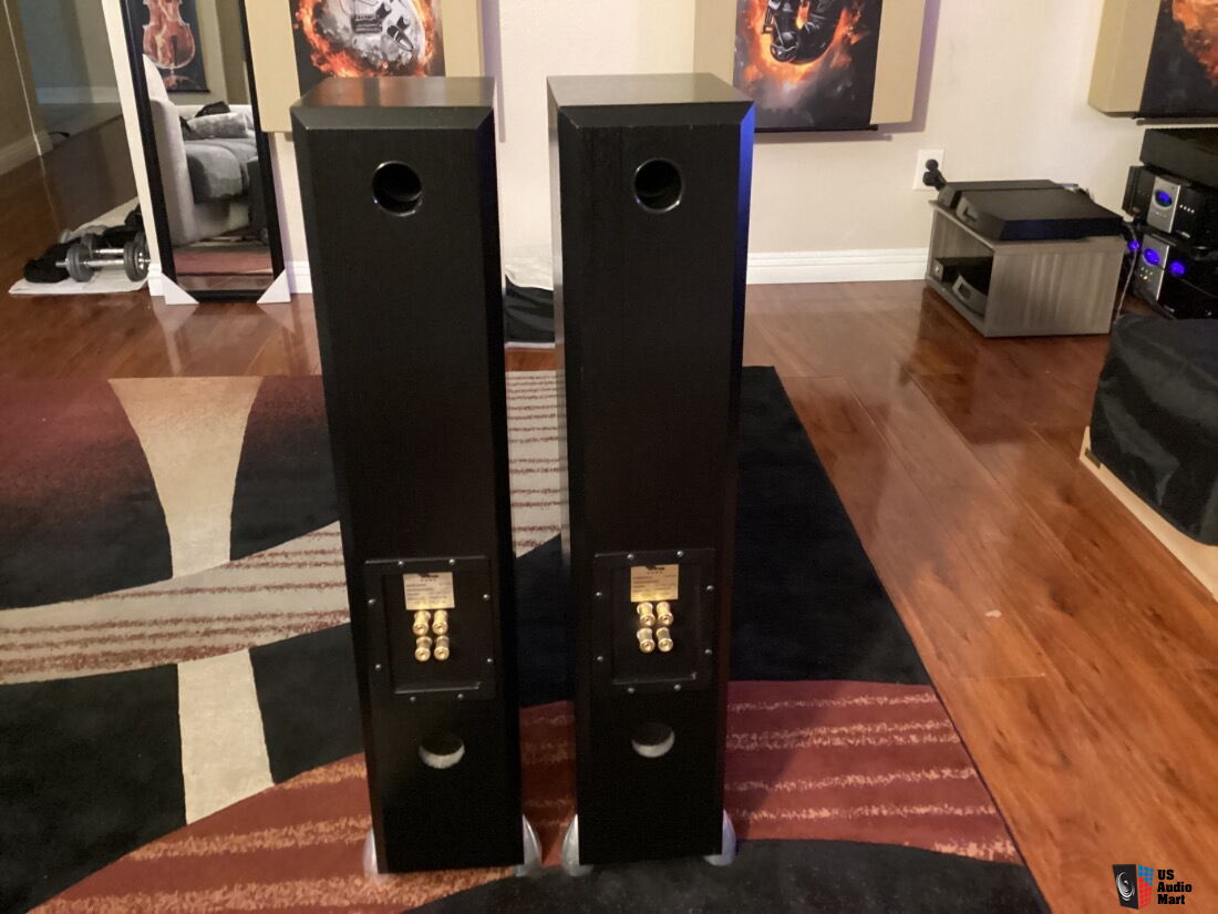 Totem acoustic Hawk speakers in blacks ash Photo #6139209 - US Audio Mart