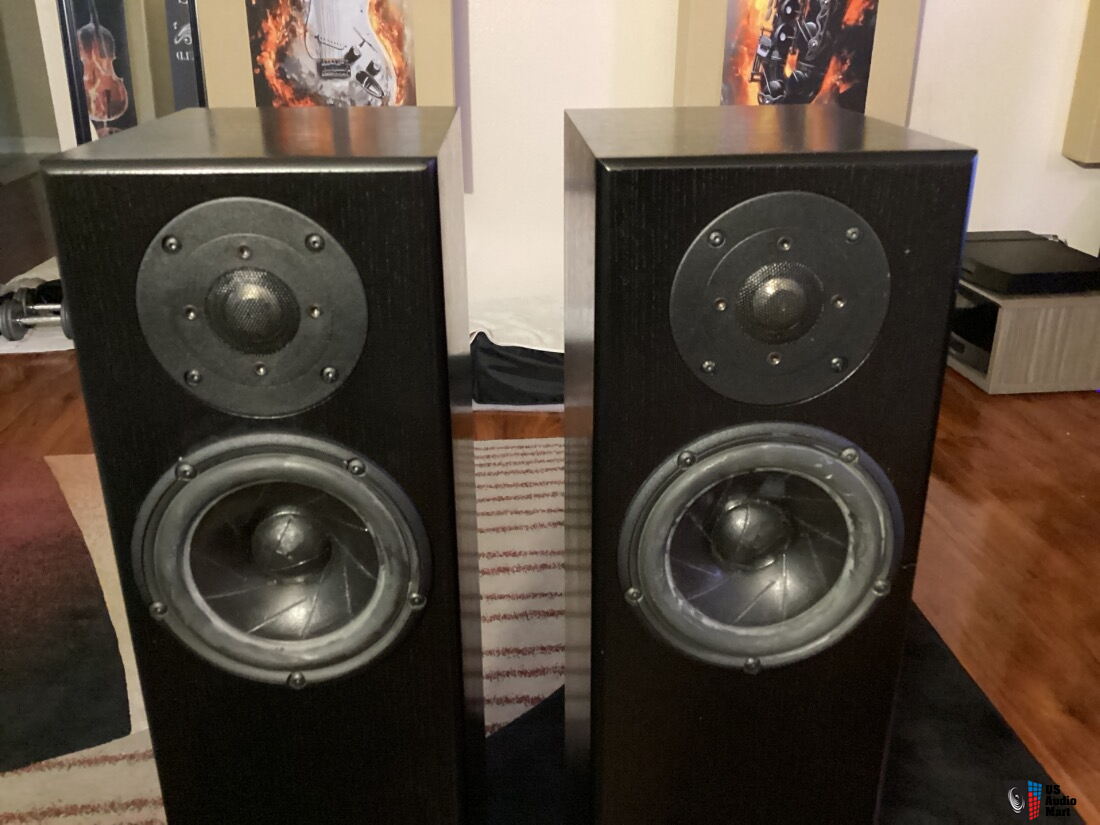 Totem acoustic Hawk speakers in blacks ash Photo #6139206 - US Audio Mart