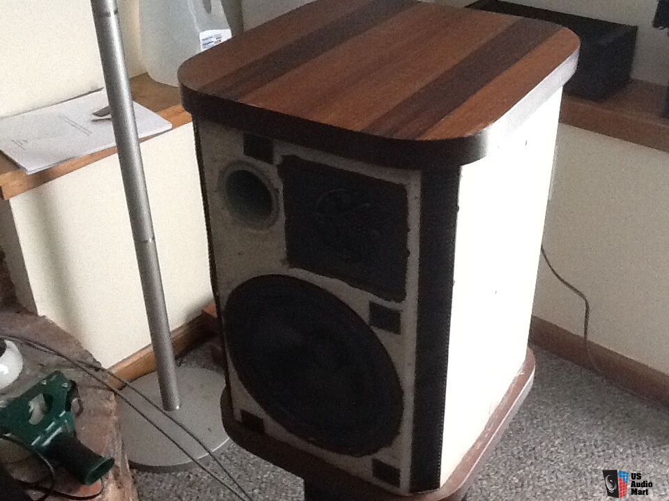 Rauna Tyr 1 Photo #615523 - US Audio Mart