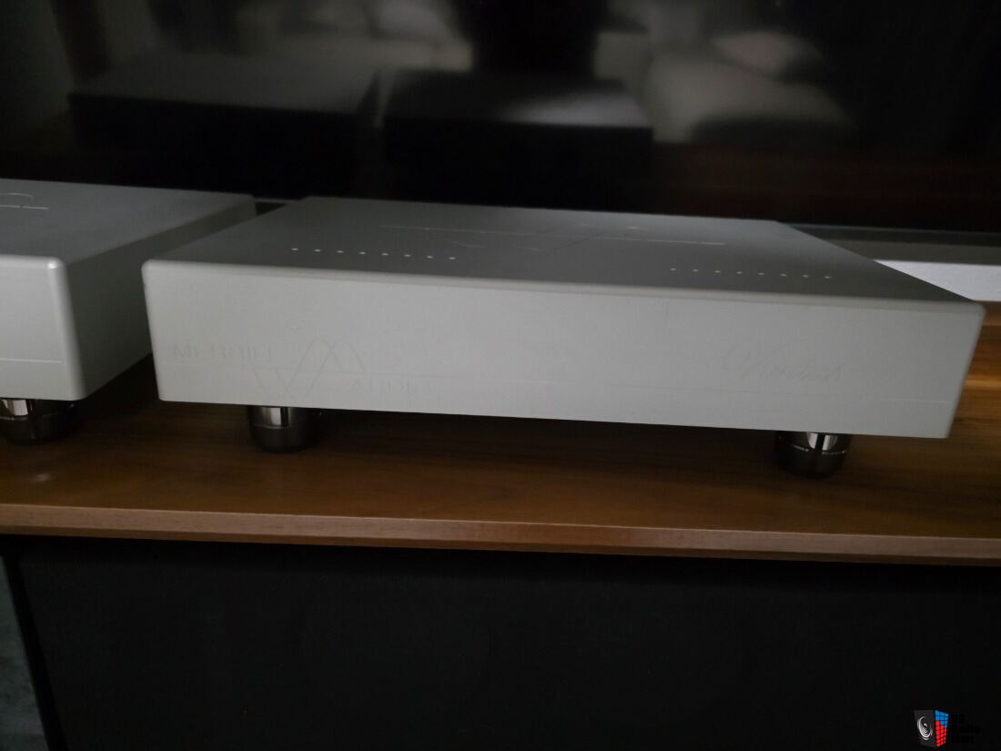 Merrill Audio Veritas Monoblock Amplifiers, Upgraded, Hypex Powerful ...