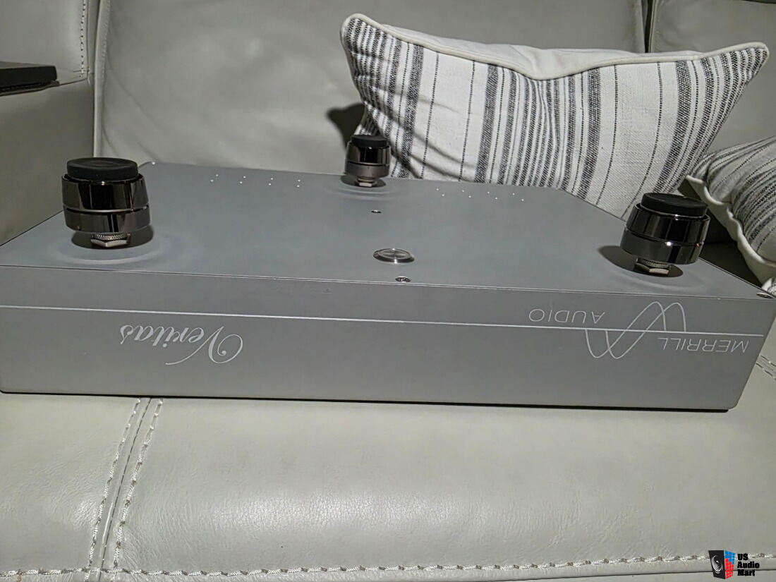Merrill Audio Veritas Monoblock Amplifiers, Upgraded, Hypex Powerful ...