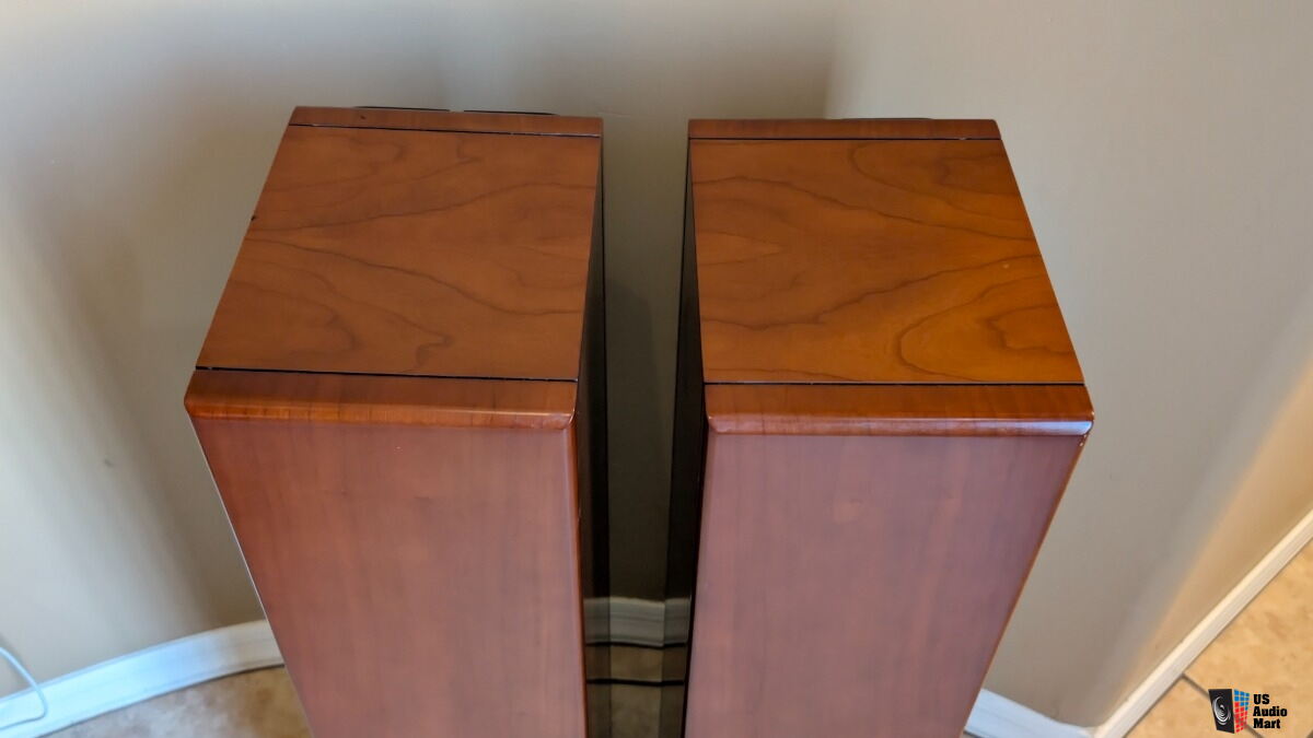 Beautiful Vienna Acoustics Bach Grand Speakers Photo #6230256 - US ...