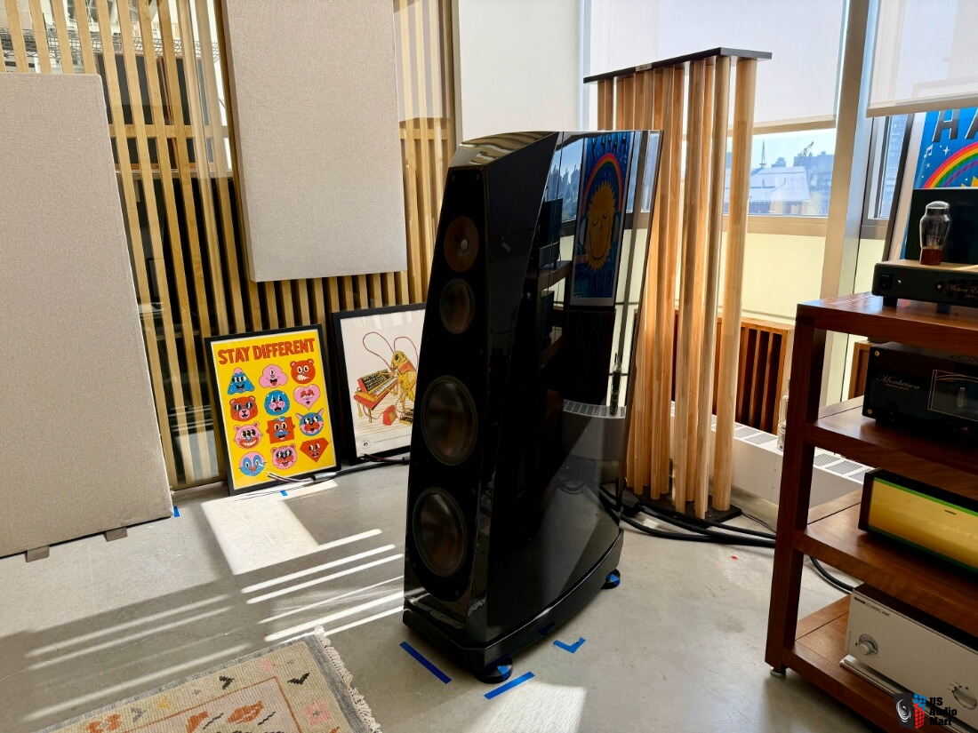 Rockport Technologies Cygnus with Original Feet & Crates Photo #6265301 ...