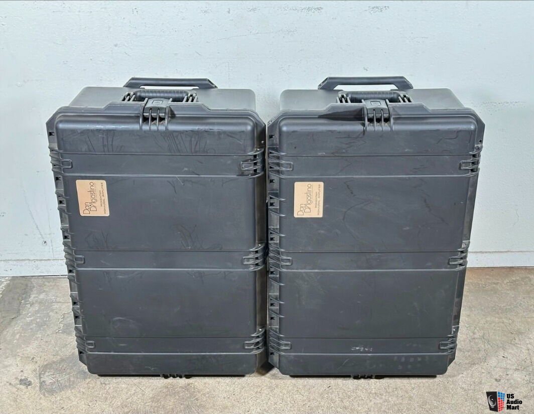 Dan D'Agostino Momentum 300 Monoblocks Beautiful pieces of art and ...