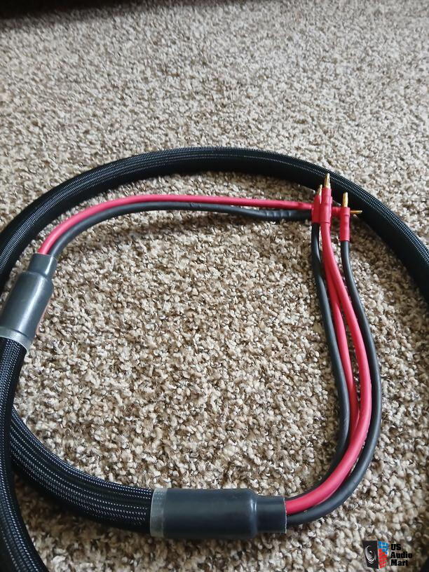 Purist Audio Design Elementa Praesto Revision Bi Wired Speaker Cable ...