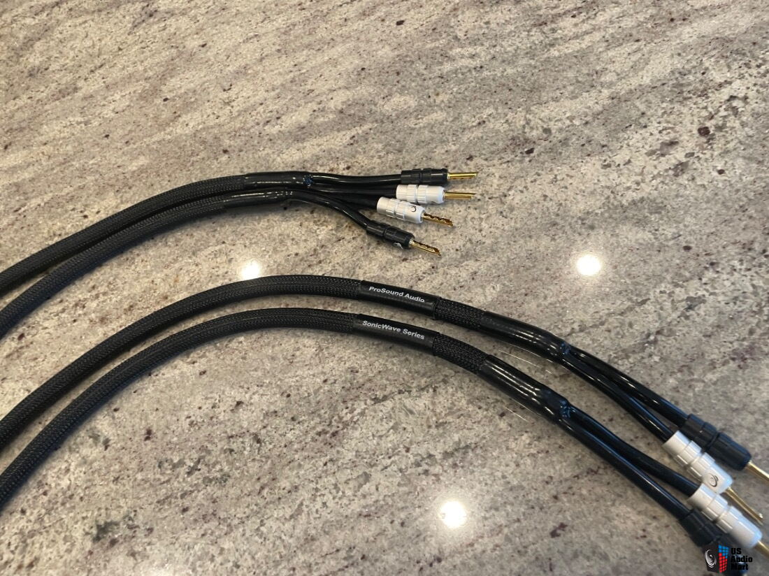 ProSound SonicWave Audiophile Artisan Made Speaker Cables 10AWG ...