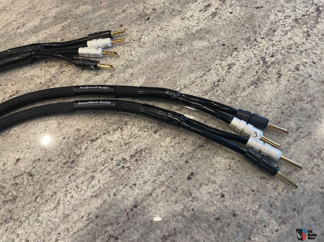 ProSound SonicWave Audiophile Artisan Made Speaker Cables 10AWG ...