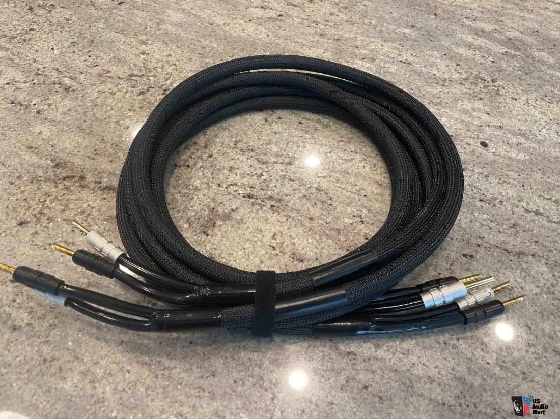 ProSound SonicWave Audiophile Artisan Made Speaker Cables 10AWG ...