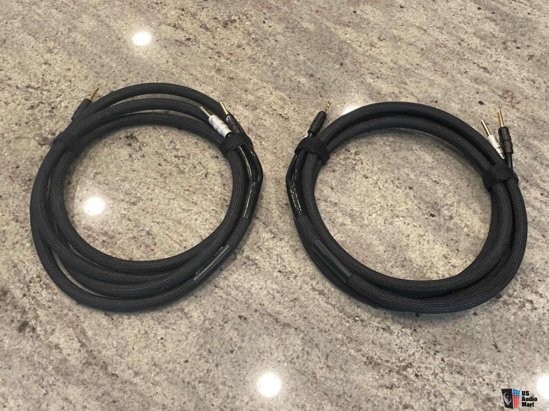 ProSound SonicWave Audiophile Artisan Made Speaker Cables 10AWG ...