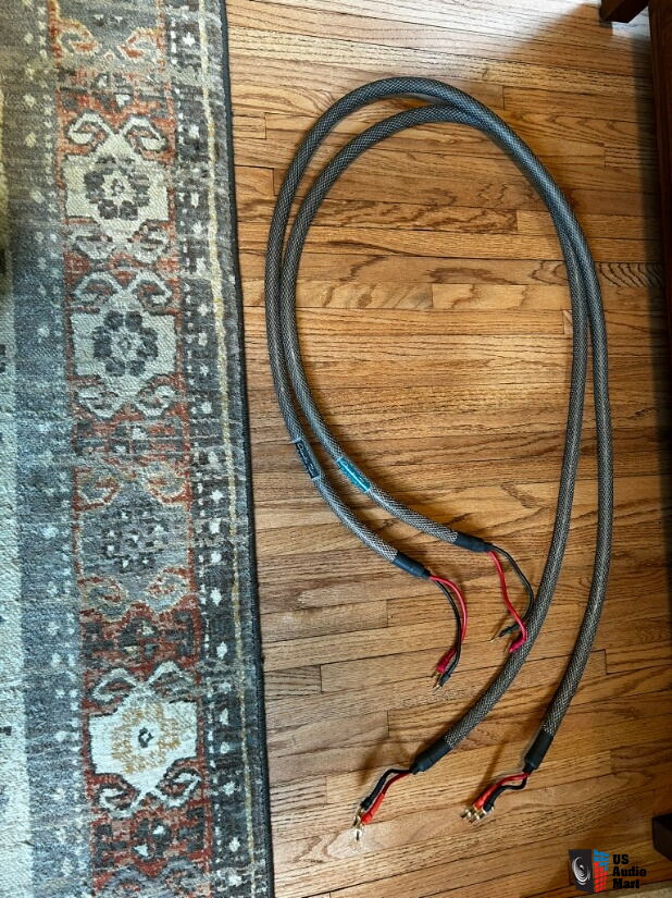 Acoustic Zen Satori - 8 ft - Spades and Furutech Locking Bananas Photo ...