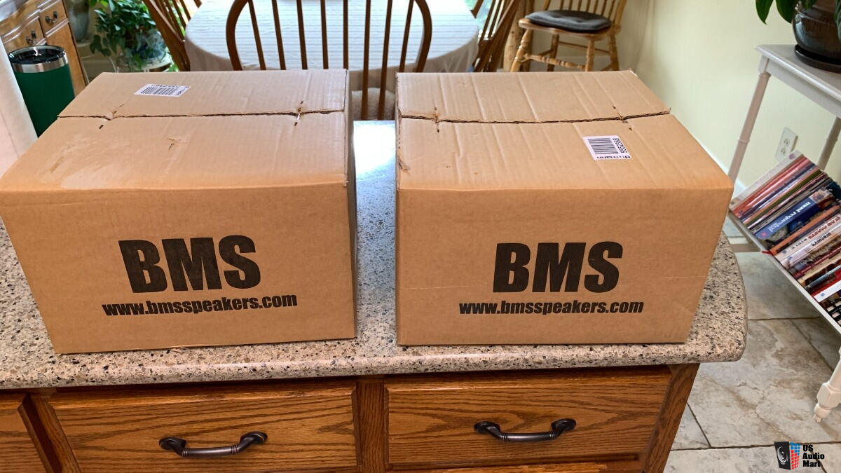 BMS 12N630L PAIR 12" woofers NEW IN BOX Photo #6284944 - US Audio Mart