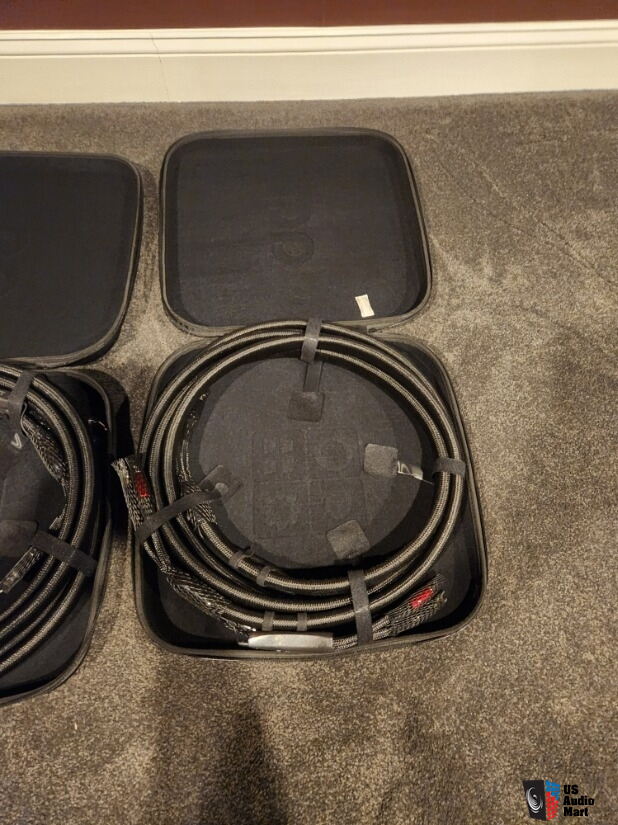 Audioquest Dragon Biwire Combo 10ft Photo #6285113 - US Audio Mart