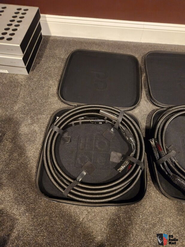 Audioquest Dragon Biwire Combo 10ft Photo #6285113 - US Audio Mart