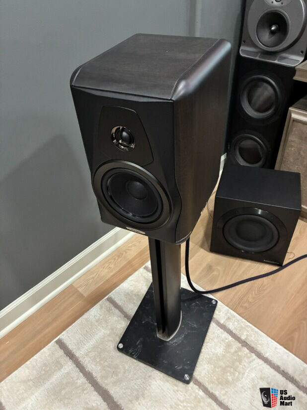 Sonus Faber Electa Amator iii with Stands Photo #6286969 - US Audio Mart