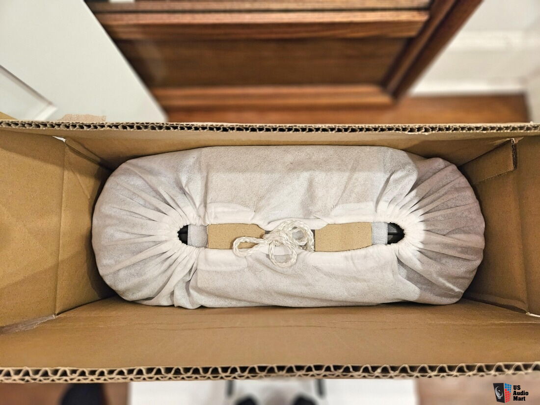 Final Audio D8000 Pro LE (Limited Edition) Headphones; Only 200 Made ...