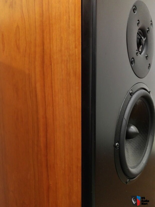 Scanspeak Illuminator custom Selah speakers Photo #6287413 - US Audio Mart