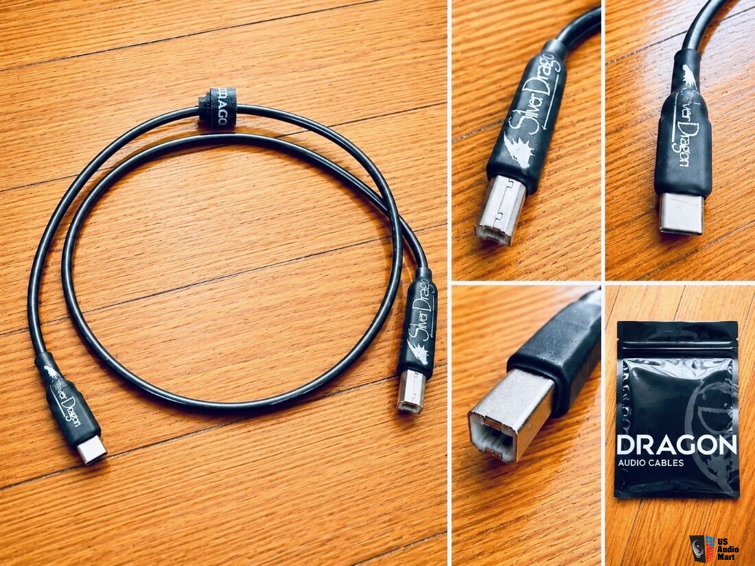 Moon Audio Silver Dragon USB Cable — USB-C to USB-B Photo #6289680 - US ...