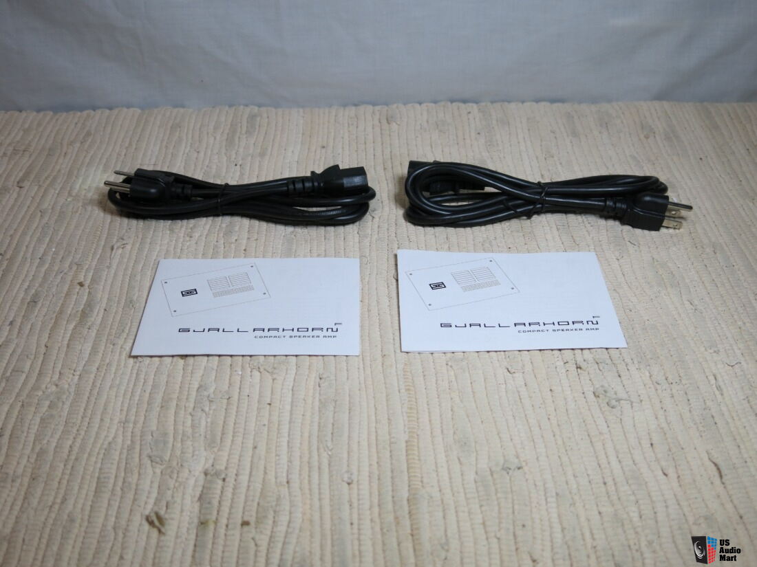 Schiit Gjallarhorn F mono amp pair Photo #6291856 - US Audio Mart