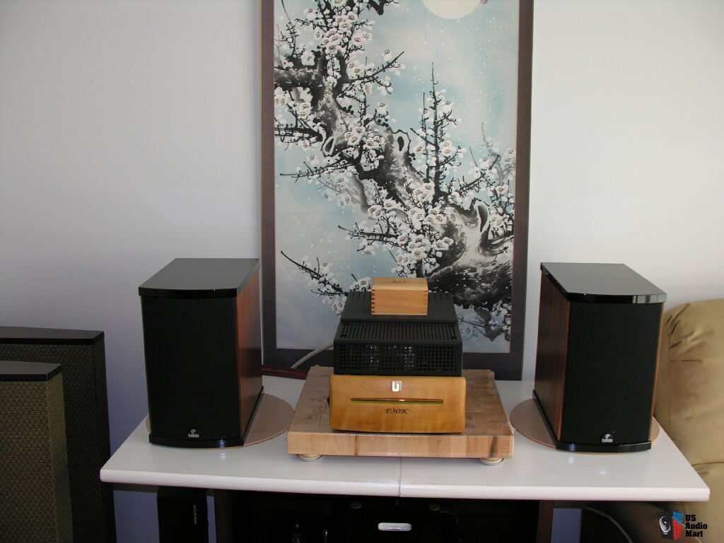 Platinum Audio Solo loudspeaker Photo #630522 - US Audio Mart