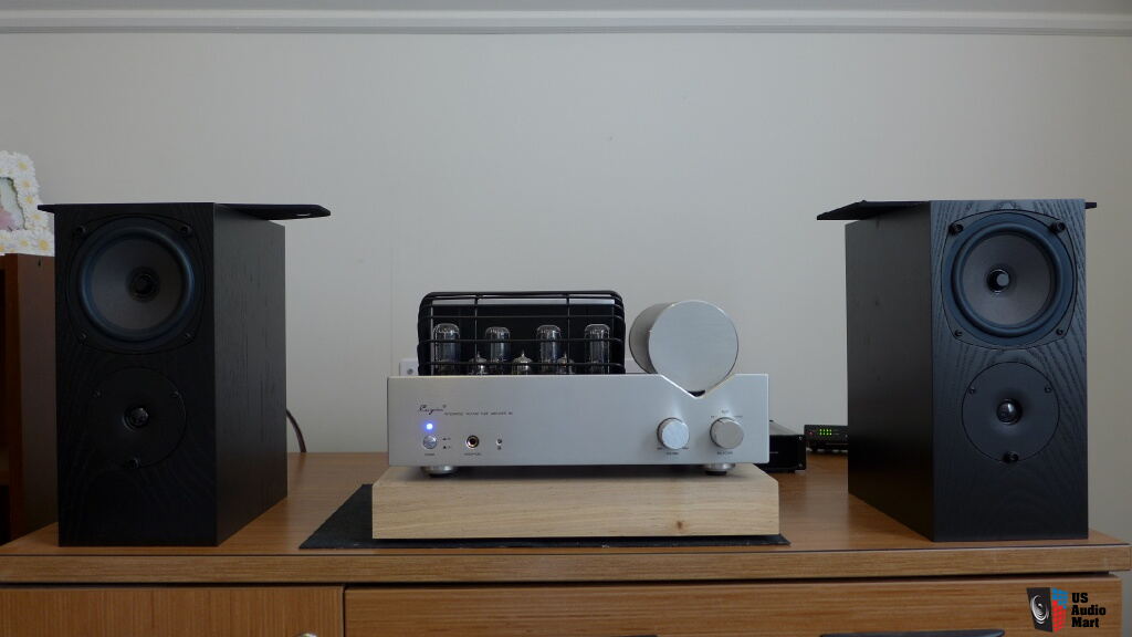 REGA RS-1 Monitors Black Ash L@@K **REDUCED Photo #685001 - UK Audio Mart