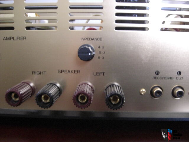 Leben CS300 EL84 Tube Amplifier Photo #686840 - US Audio Mart