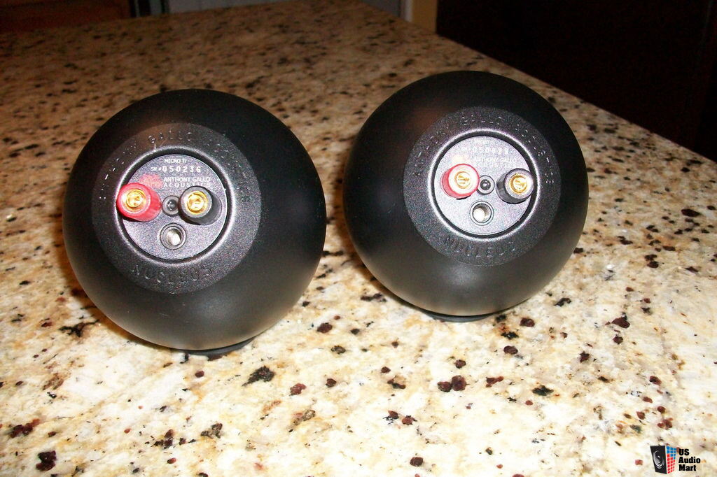 Anthony Gallo Nucleus Micro Ti Main / Stereo Speakers, Black Photo ...