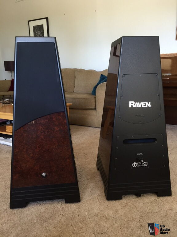 Talon Raven C - Mint Condition Photo #839073 - US Audio Mart
