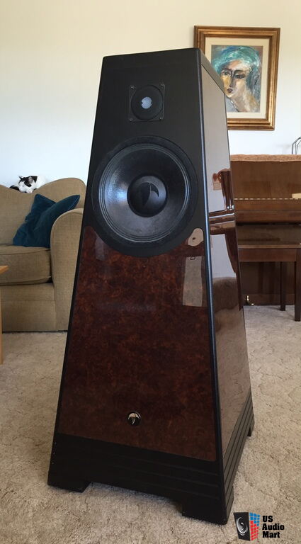 Talon Raven C - Mint Condition Photo #839073 - US Audio Mart