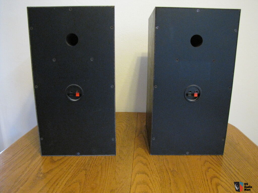Paradigm Phantom V1 Photo #910728 - US Audio Mart