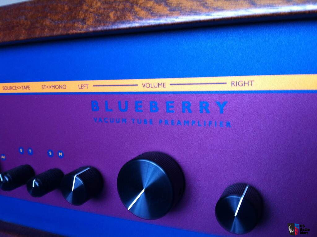 JuicyMusic Blueberry Extreme tube preamp with MM/MC inputs Photo ...
