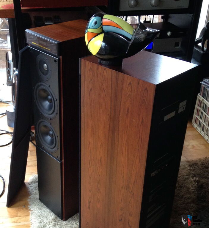 Meridian DSP 5000 Active (Powered) Loudspeakers Photo #916595 - US ...