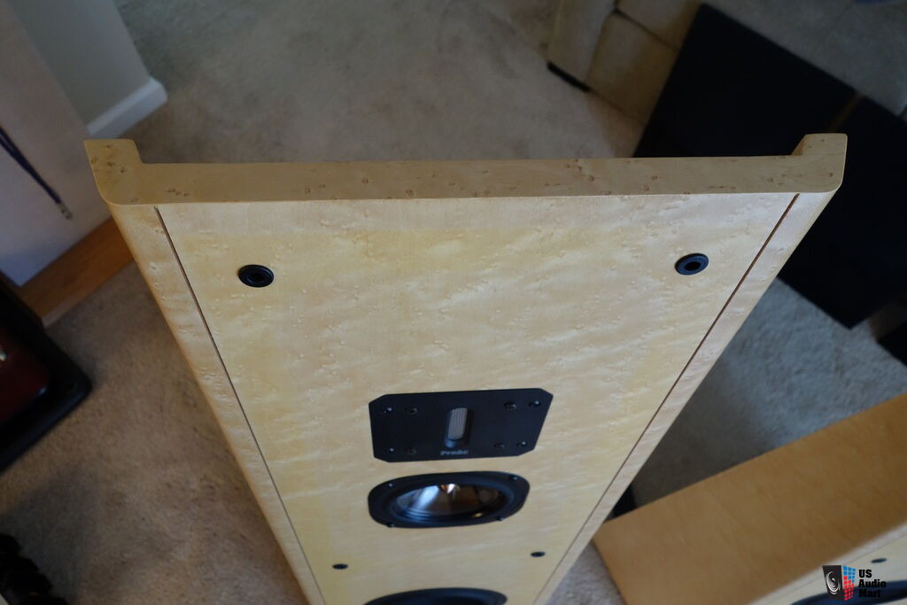 ProAc Future-1 Full-Range - Di-pole Mid and Ribbon Tweeter Photo ...